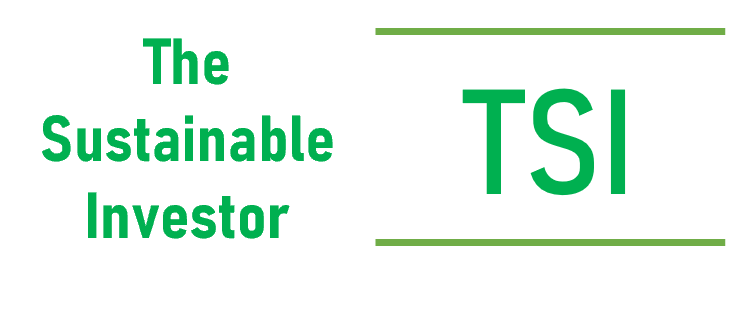 Introducing "The Sustainable Investor"